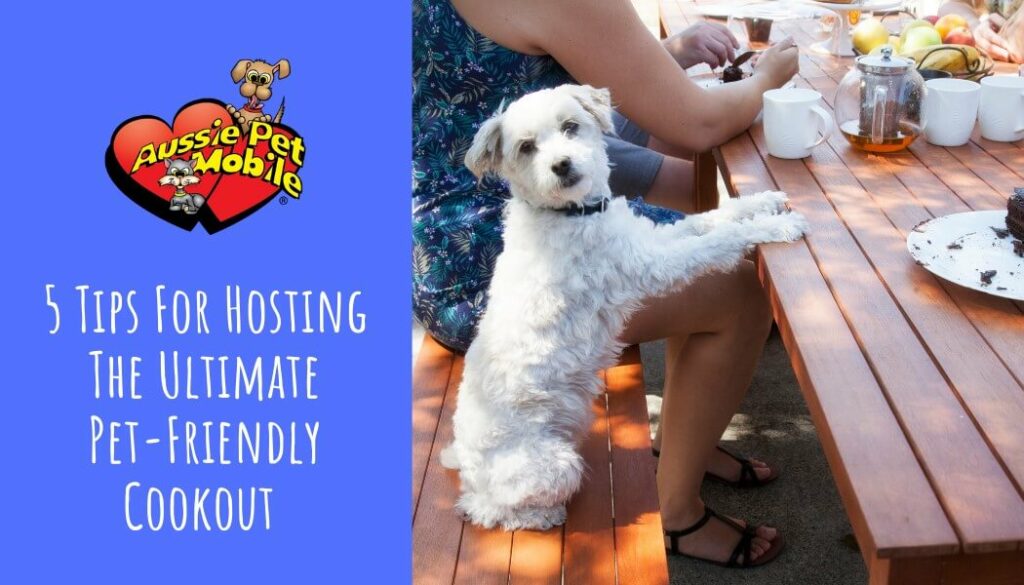 5 Tips For Hosting The Ultimate Pet-Friendly Cookout | Aussie Pet Mobile