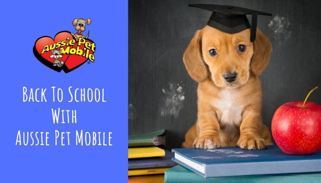 Back To School With Aussie Pet Mobile | Aussie Pet Mobile