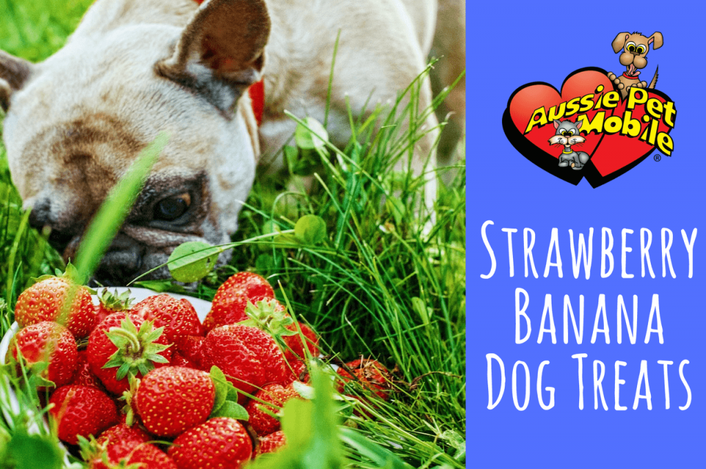 Strawberry Banana Dog Treats | Aussie Pet Mobile